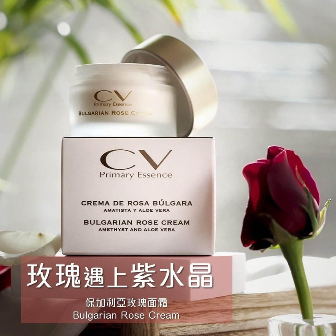 CV Rose Cream 50ML – lanovel